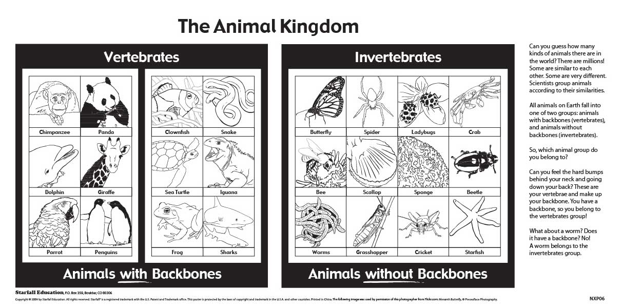 Animal Kingdom Posters - Starfall | Parent-Teacher Center