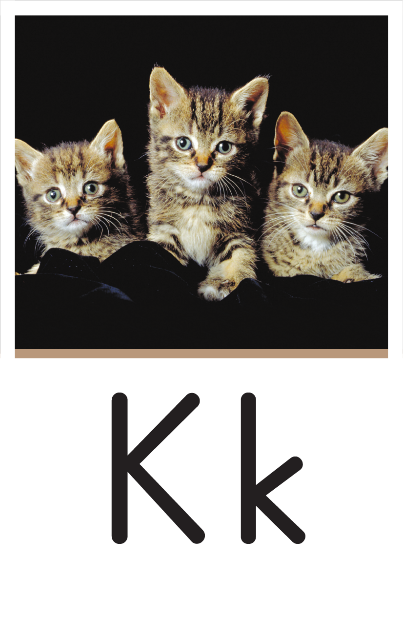 ABC Poster & Cards - Starfall | Parent-Teacher Center