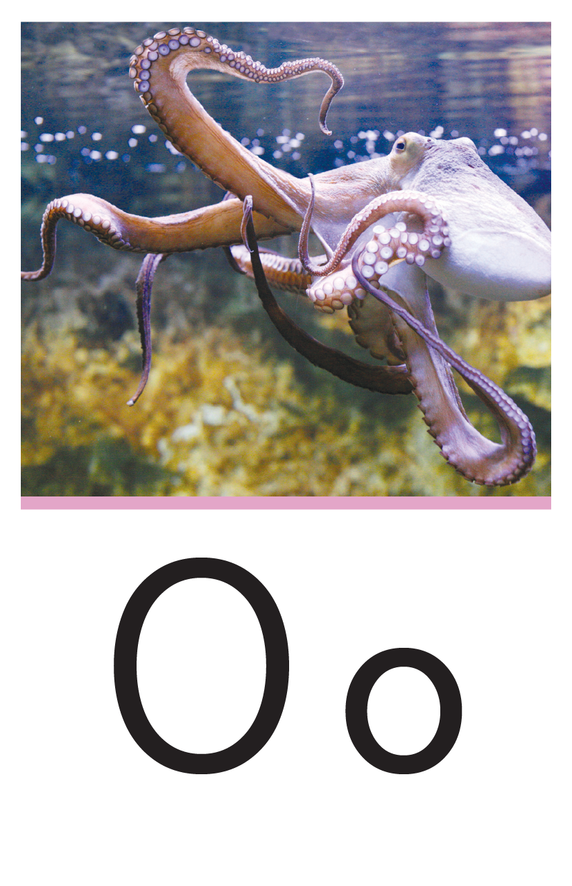 ABC Poster & Cards - Starfall | Parent-Teacher Center