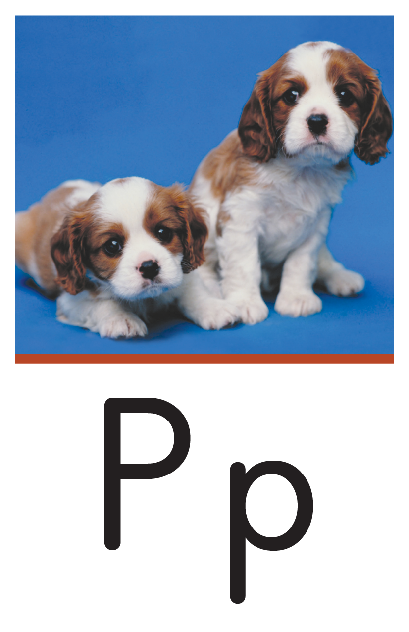 ABC Poster & Cards - Starfall | Parent-Teacher Center