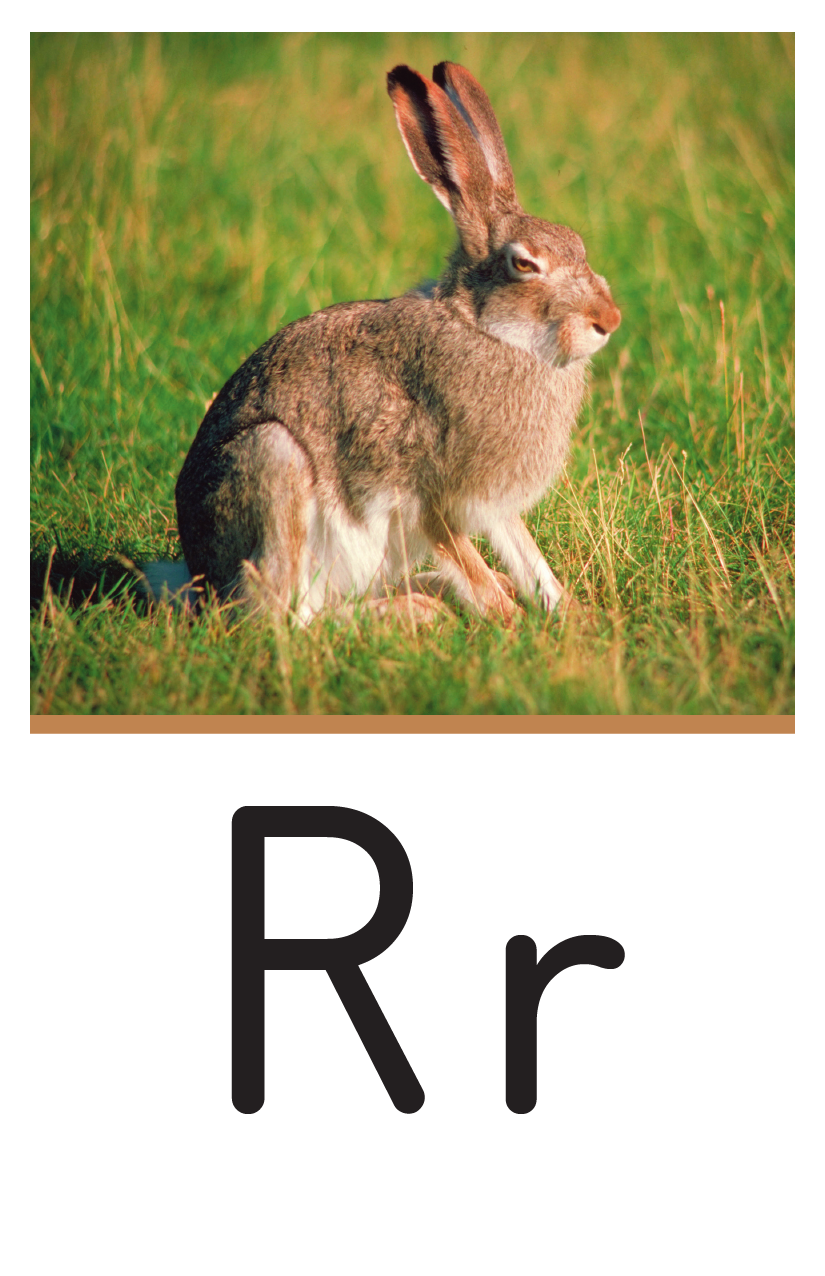 ABC Poster & Cards - Starfall | Parent-Teacher Center